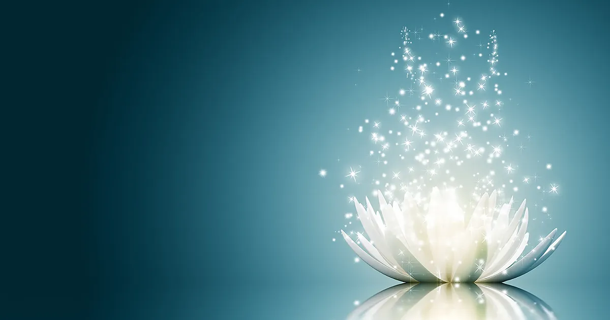 Purposeful Pathways: Professional Practice and The Coach's Journey ...